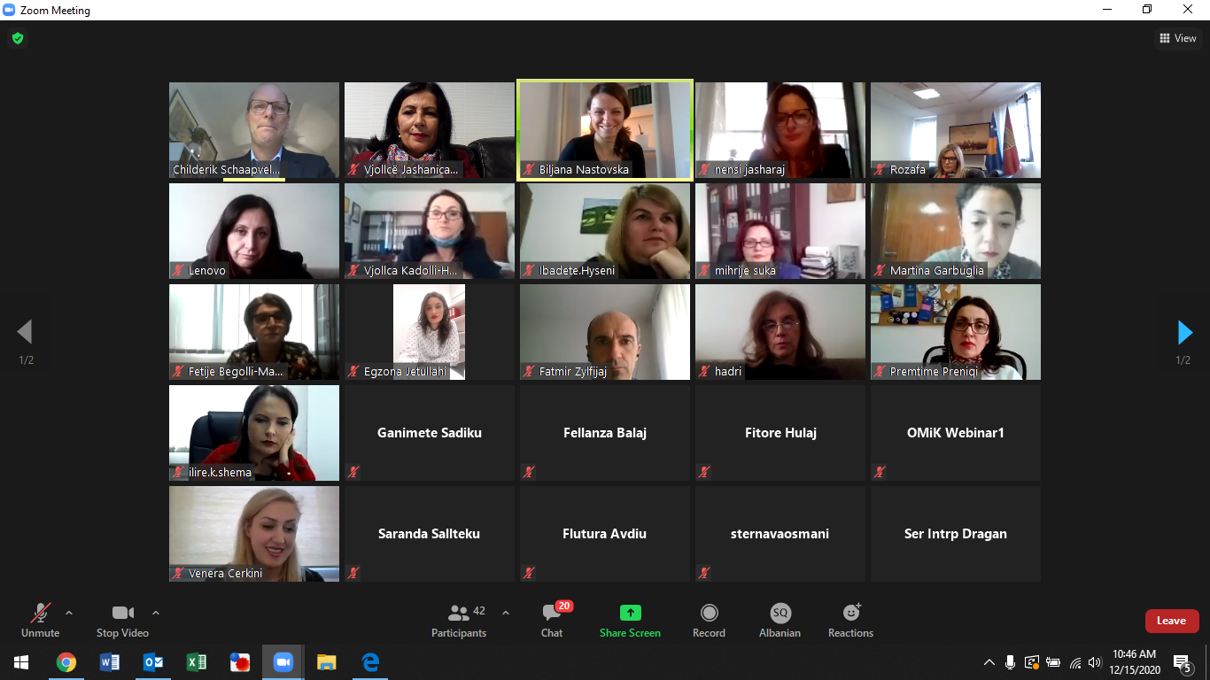 » Gender integration in the decision-making process